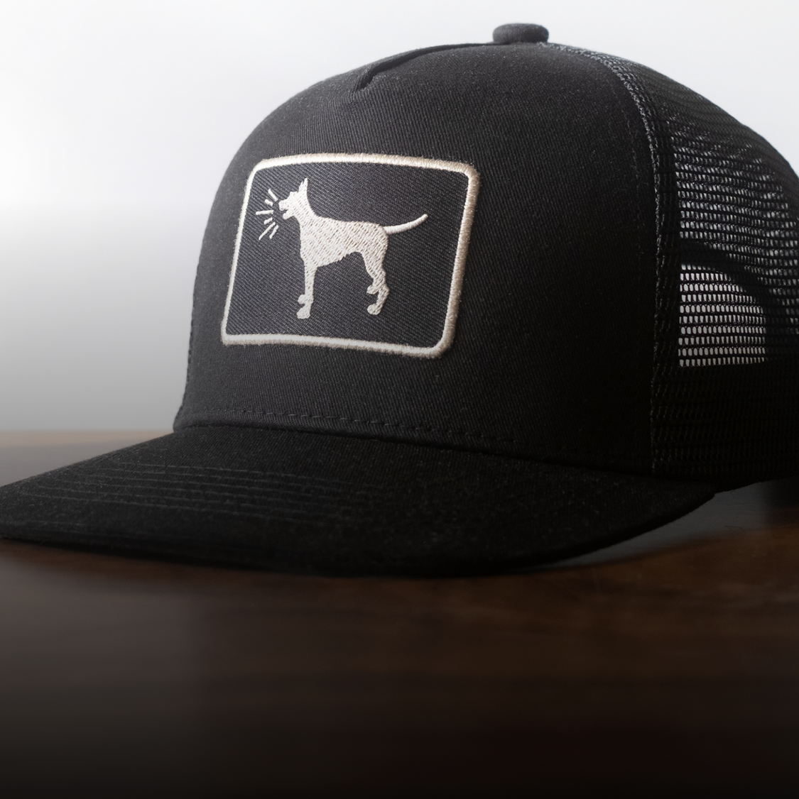 Canon Press — Outfitters of the Reformation.